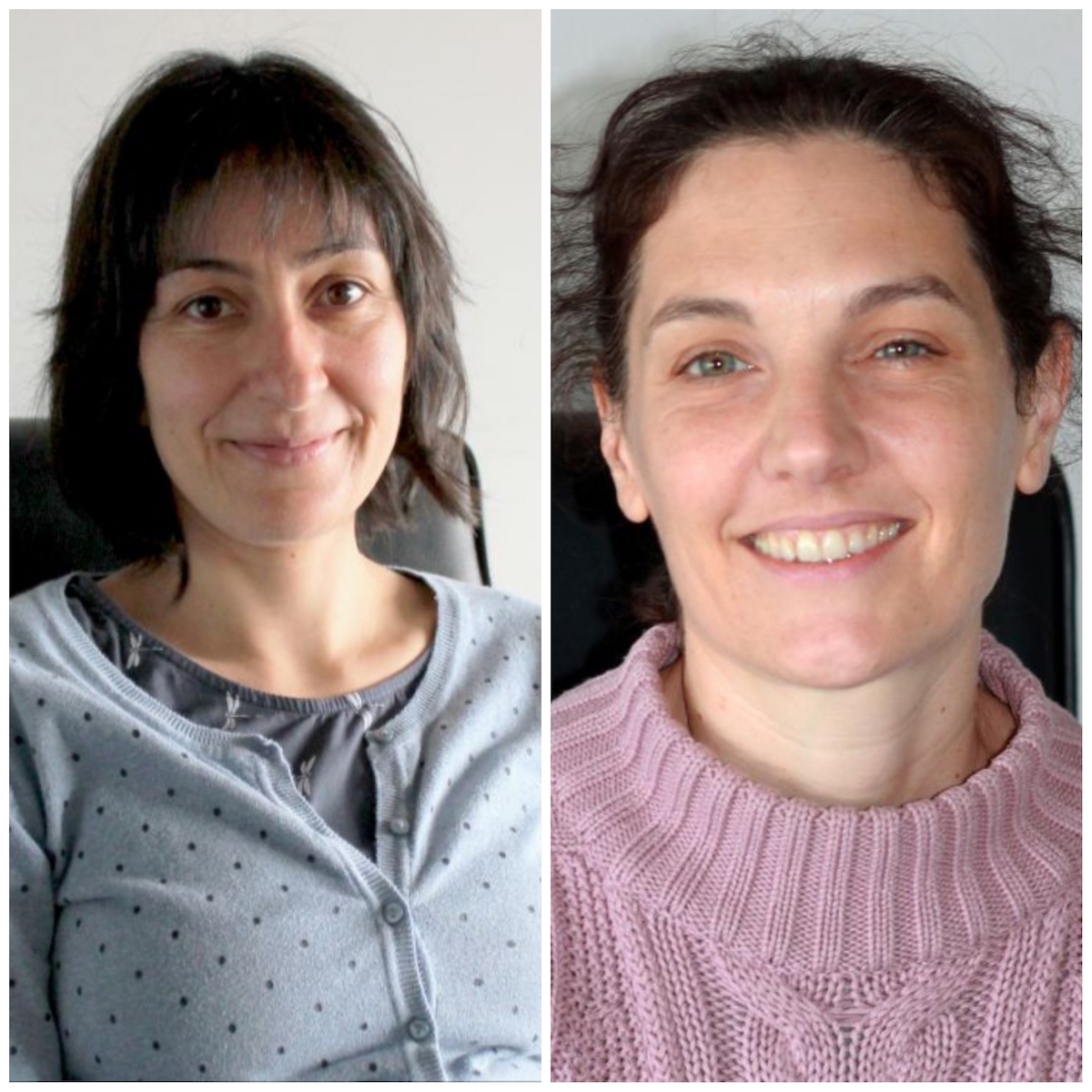 Académicas de Ingeniería Civil Matemática serán investigadoras responsables de proyectos ...