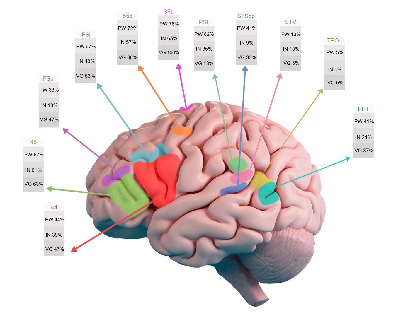 Figura de artículo de académica Steren Chabert será portada de revista ...